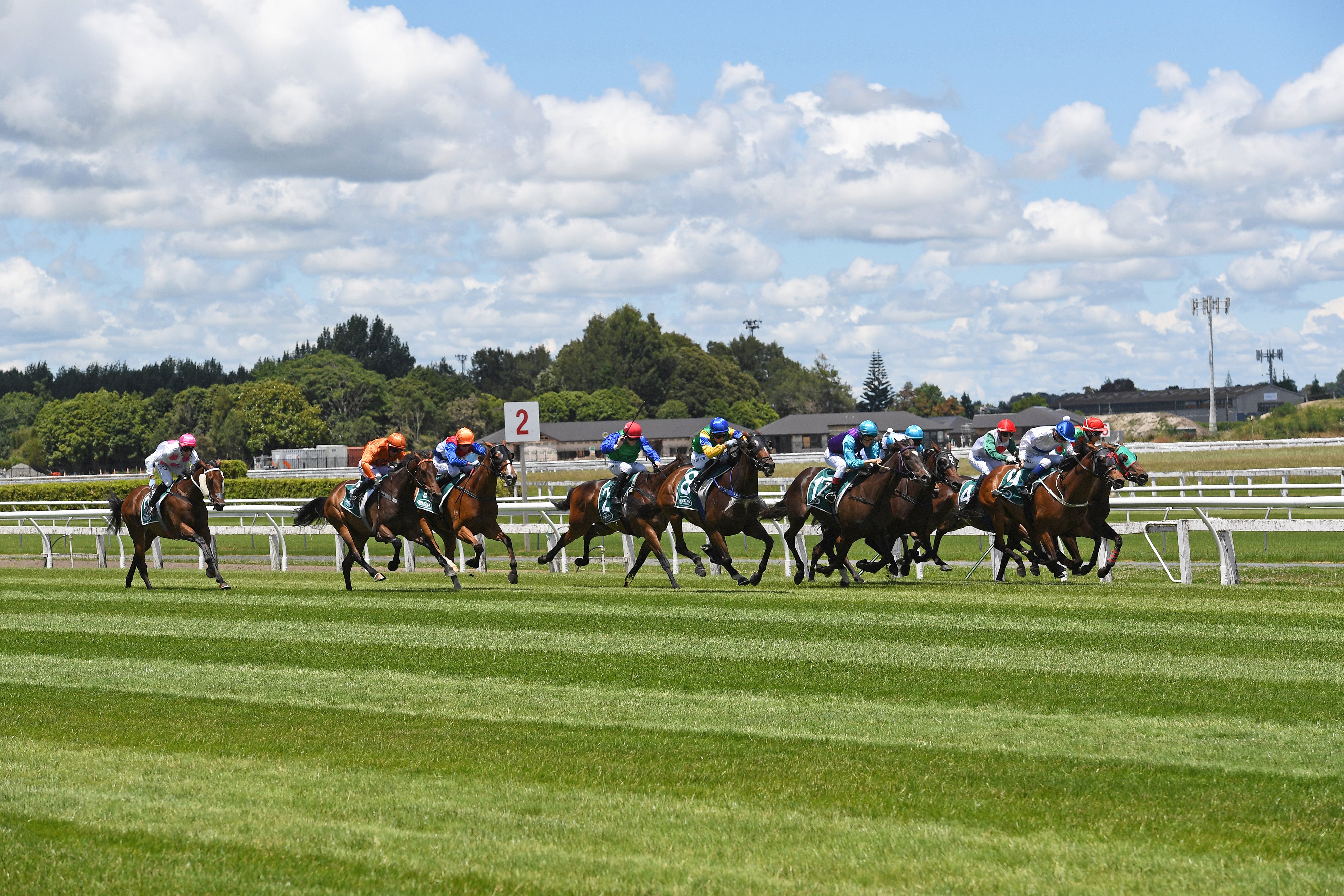 Waikato Venues - Corporate & Private Event Hire | Te Rapa Racecourse